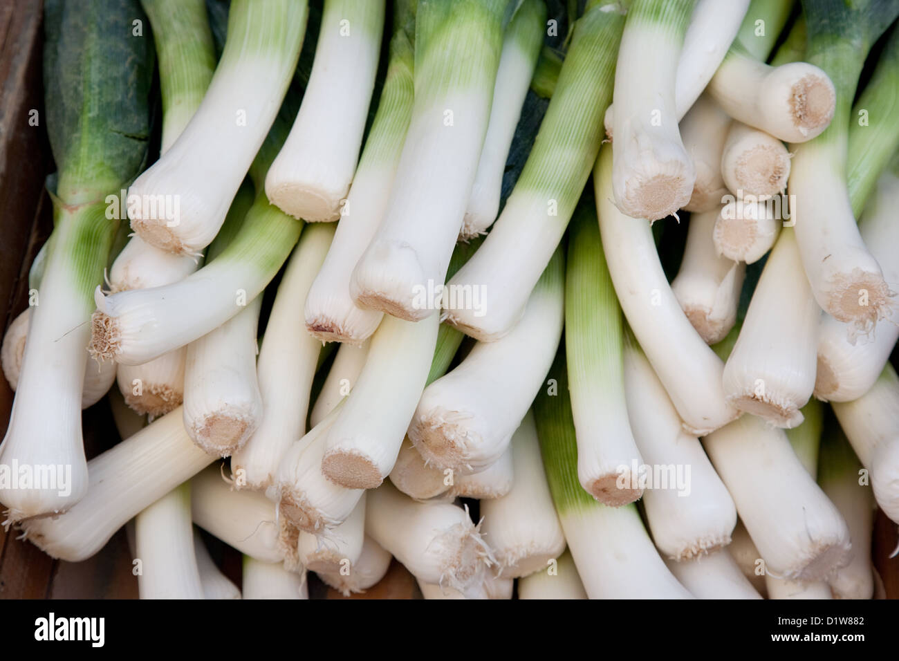 Leeks on a Market Stall Stock Photo - Alamy