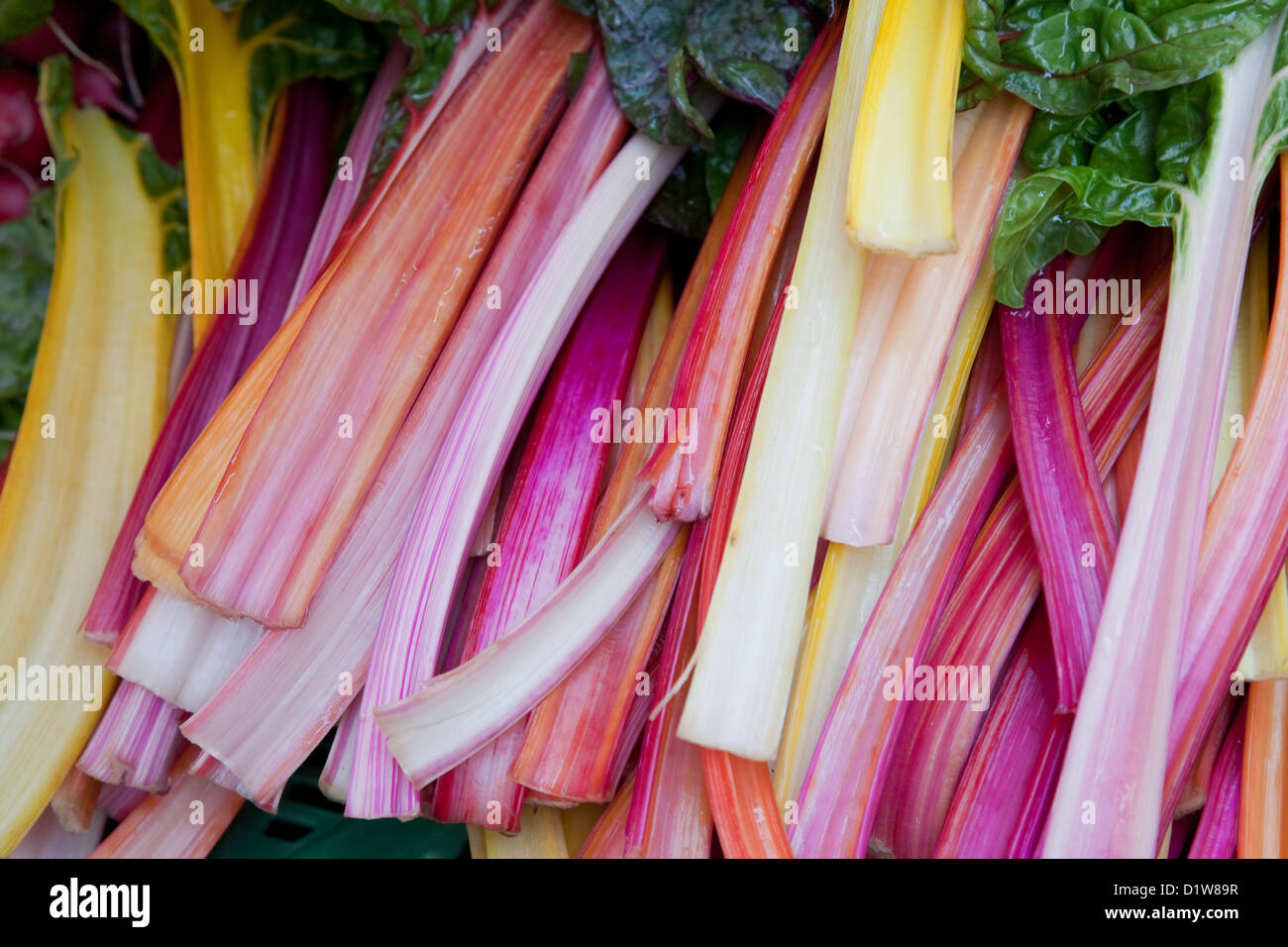 Colorful Swiss Chard for sale on Market Stall Stock Photo - Alamy