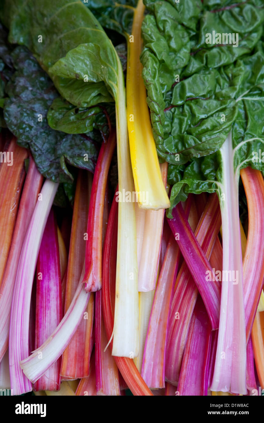 Colorful Swiss Chard for sale on Market; Stall Stock Photo - Alamy