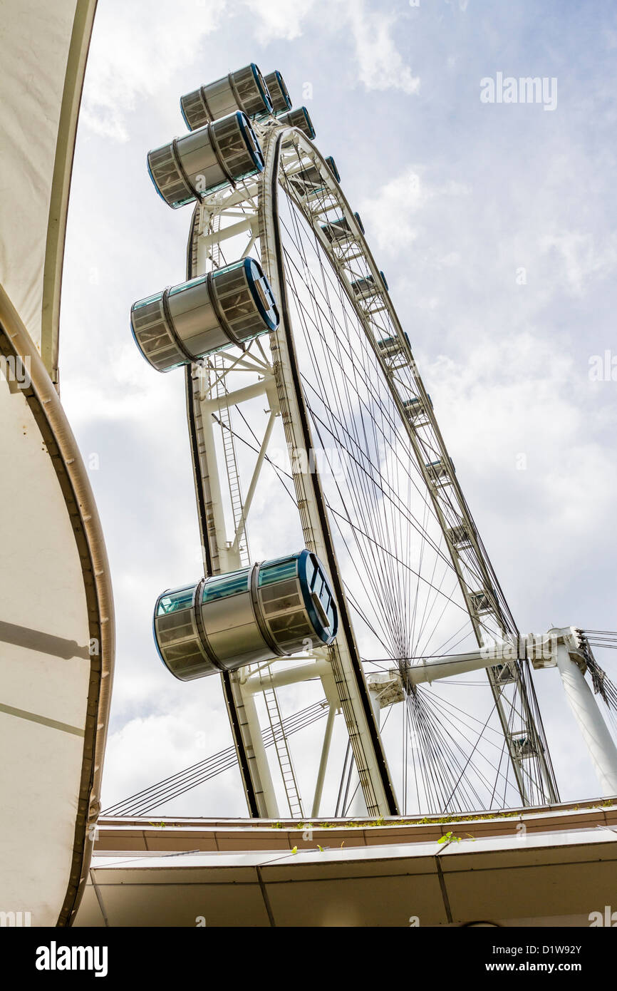 Singapore Flyer is the largest observation wheel in the world Stock ...