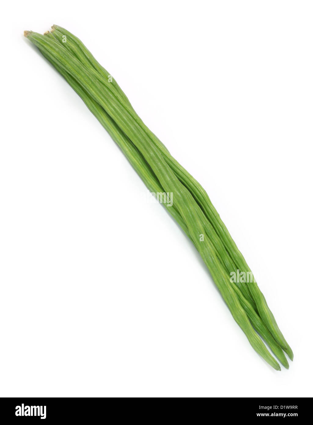 Moringa Oleifera or sonjna Stock Photo - Alamy