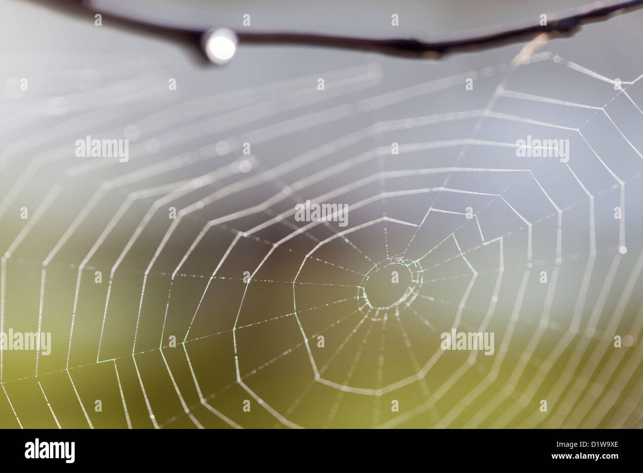 Cobweb empty hi-res stock photography and images - Alamy