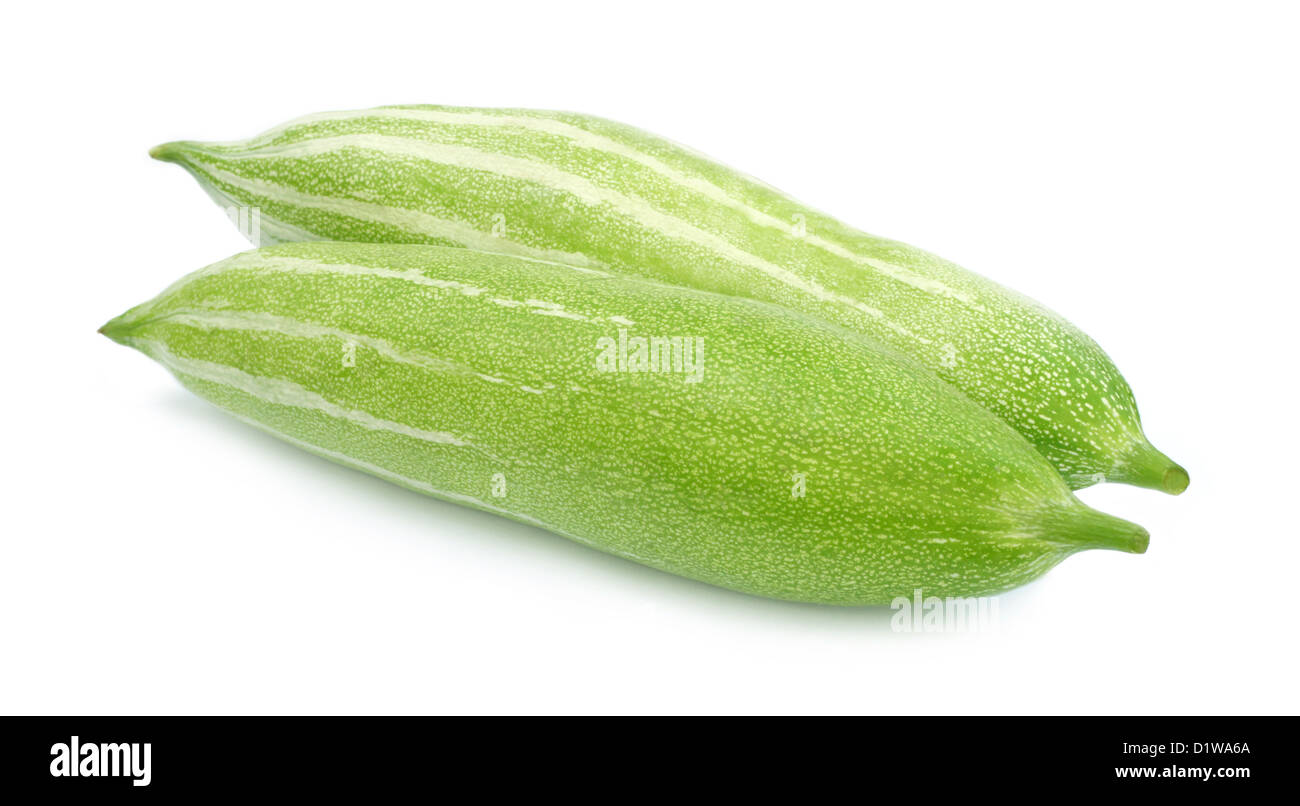 Serpent Gourd Plant High Resolution Stock Photography and Images - Alamy