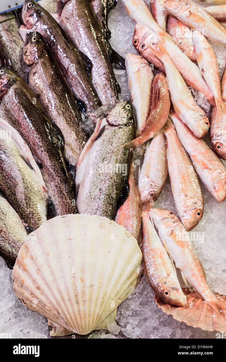 Meat fish food group hi-res stock photography and images - Alamy