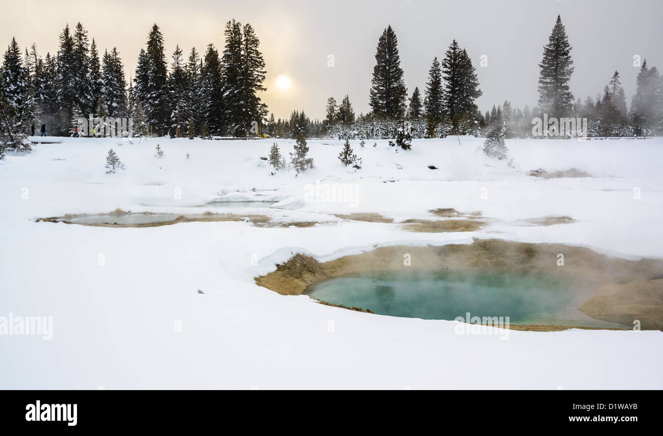 Thermal pool yellowstone hi-res stock photography and images - Alamy