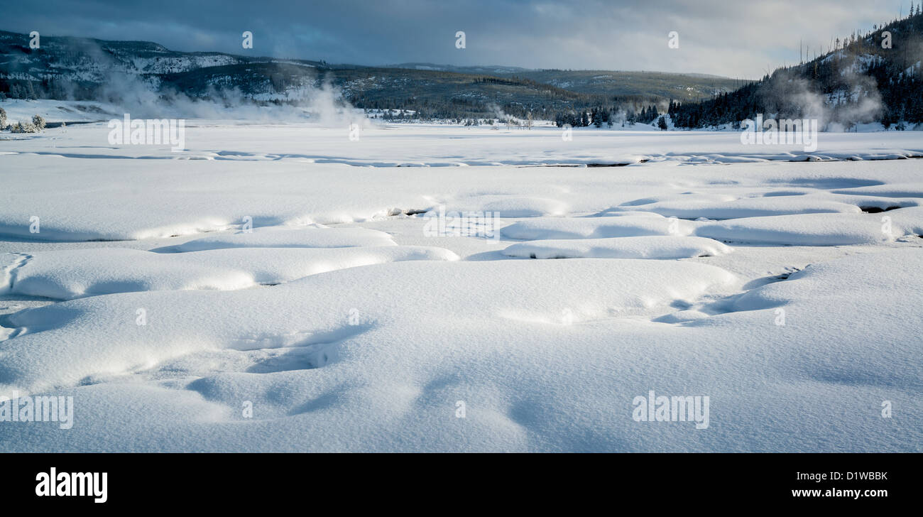 Usa snowscape with trees hi-res stock photography and images - Alamy