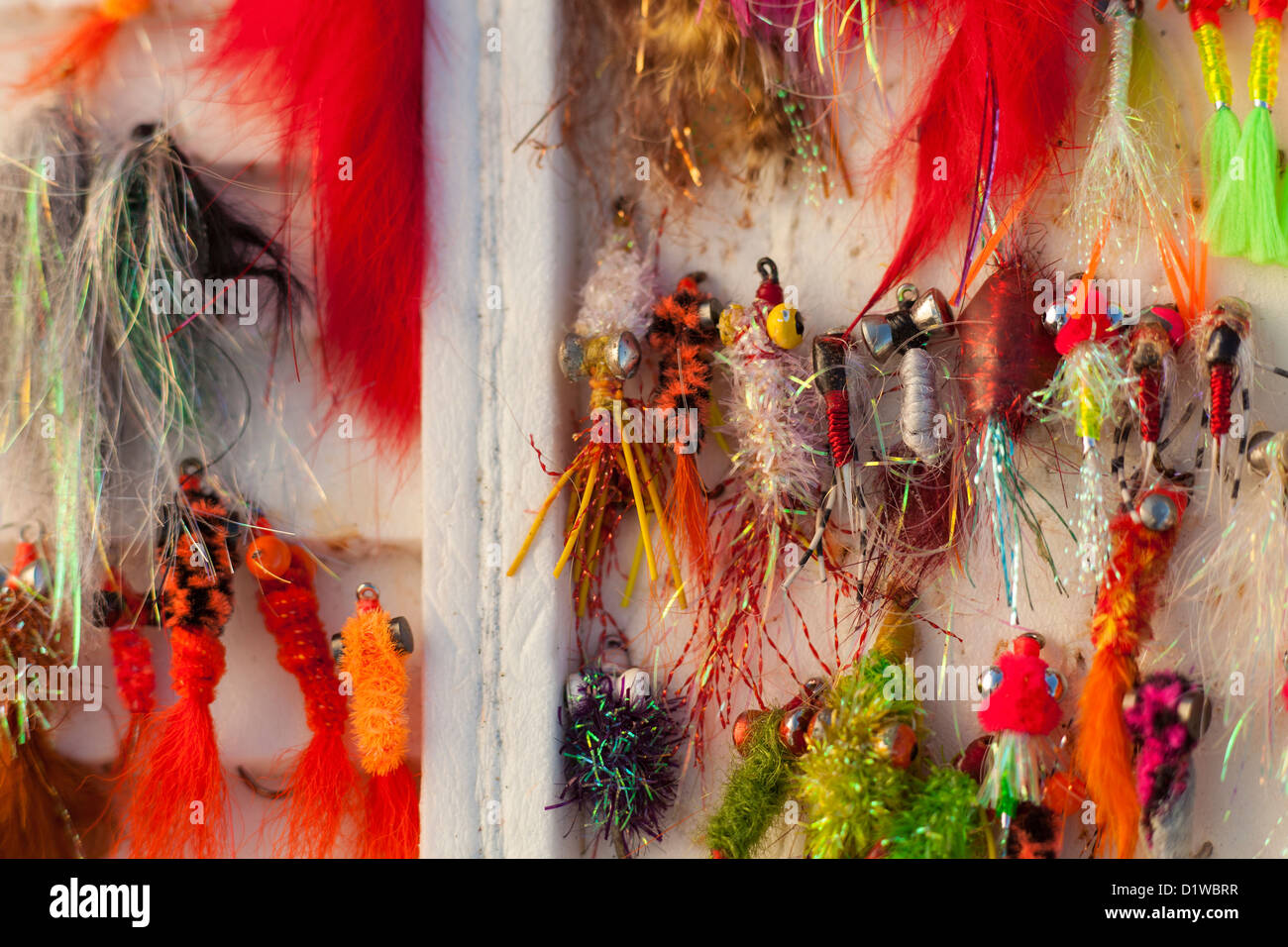 Ocean Fly Fishing California at Ruby Osborne blog