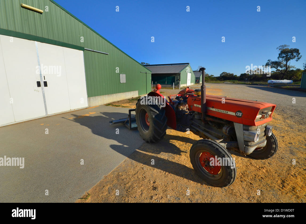 Massey Ferguson Farm tractor Stock Photo - Alamy