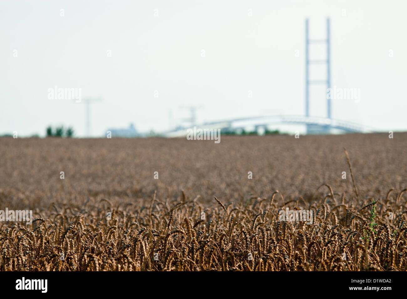 Stralsund bridge rugen ruegen hi-res stock photography and images - Alamy