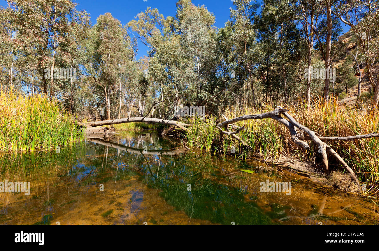 Ellery Creek Big Water Hole Western MacDonnell Ranges Central Australia ...