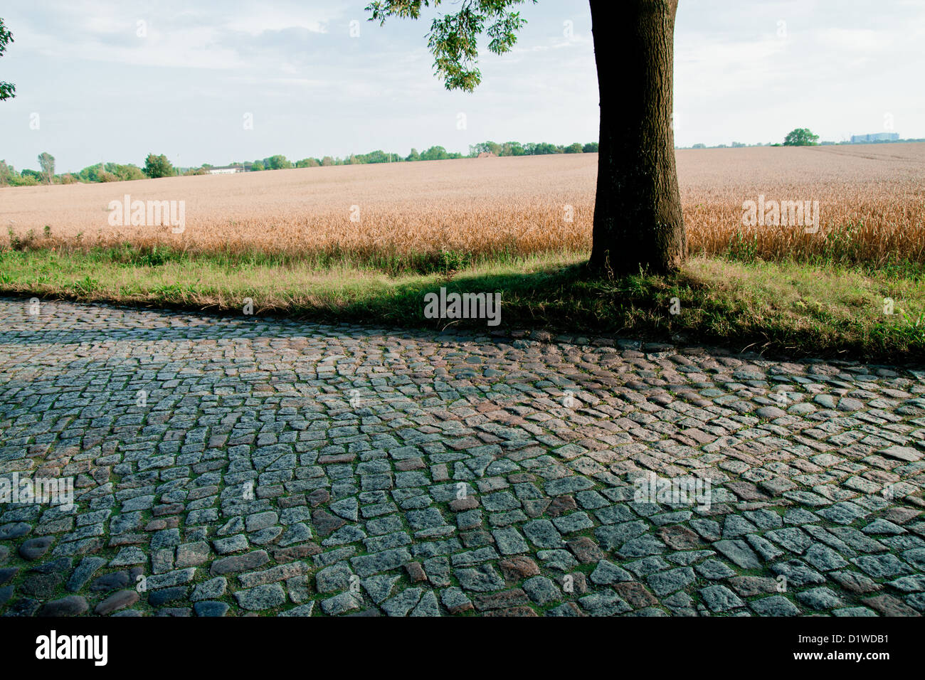 Baltic road hi-res stock photography and images - Alamy
