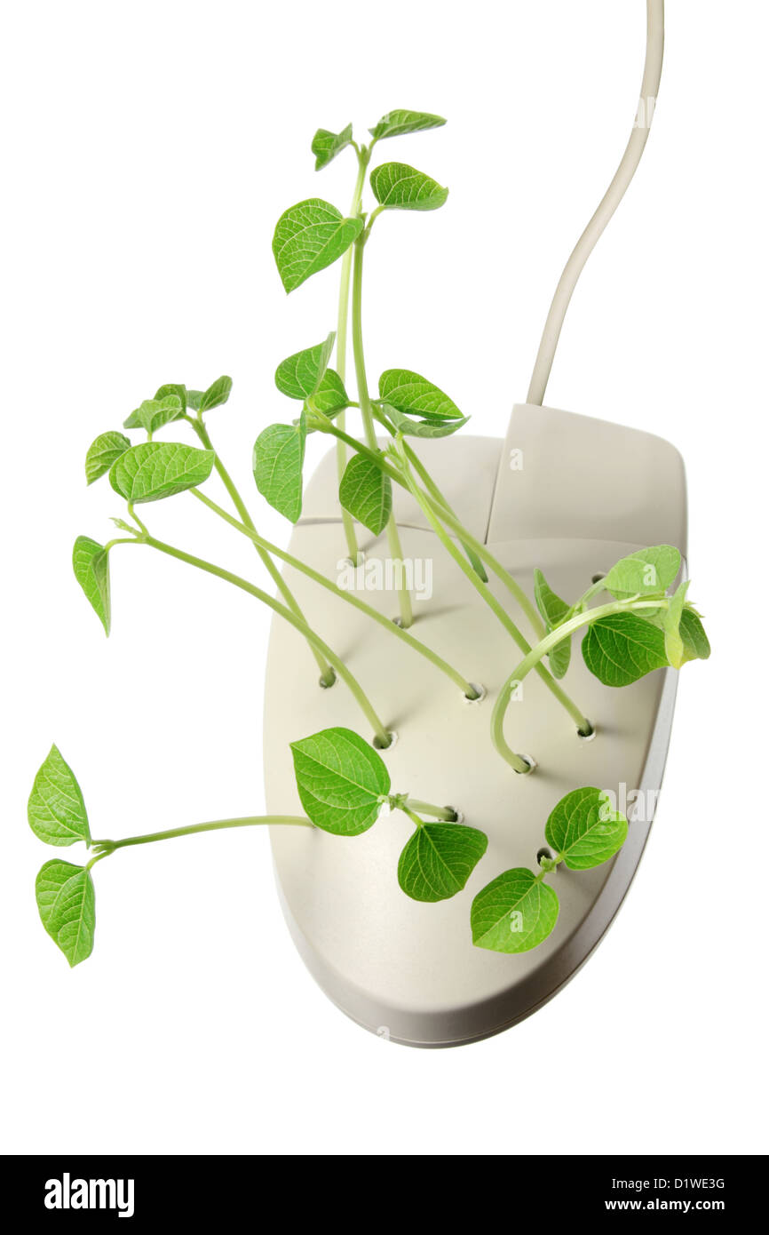 Vertical computer mouse Cut Out Stock Images & Pictures - Alamy