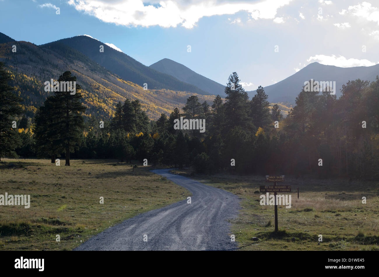 Lockett Meadow, near Flagstaff, Arizona, USA Stock Photo - Alamy