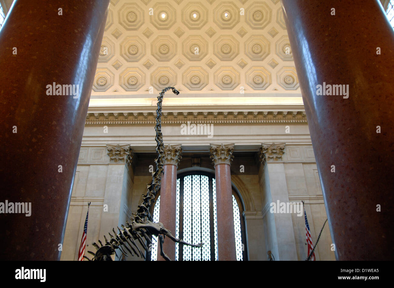 The entrance hall of American Museum of Natural History, Central Park ...