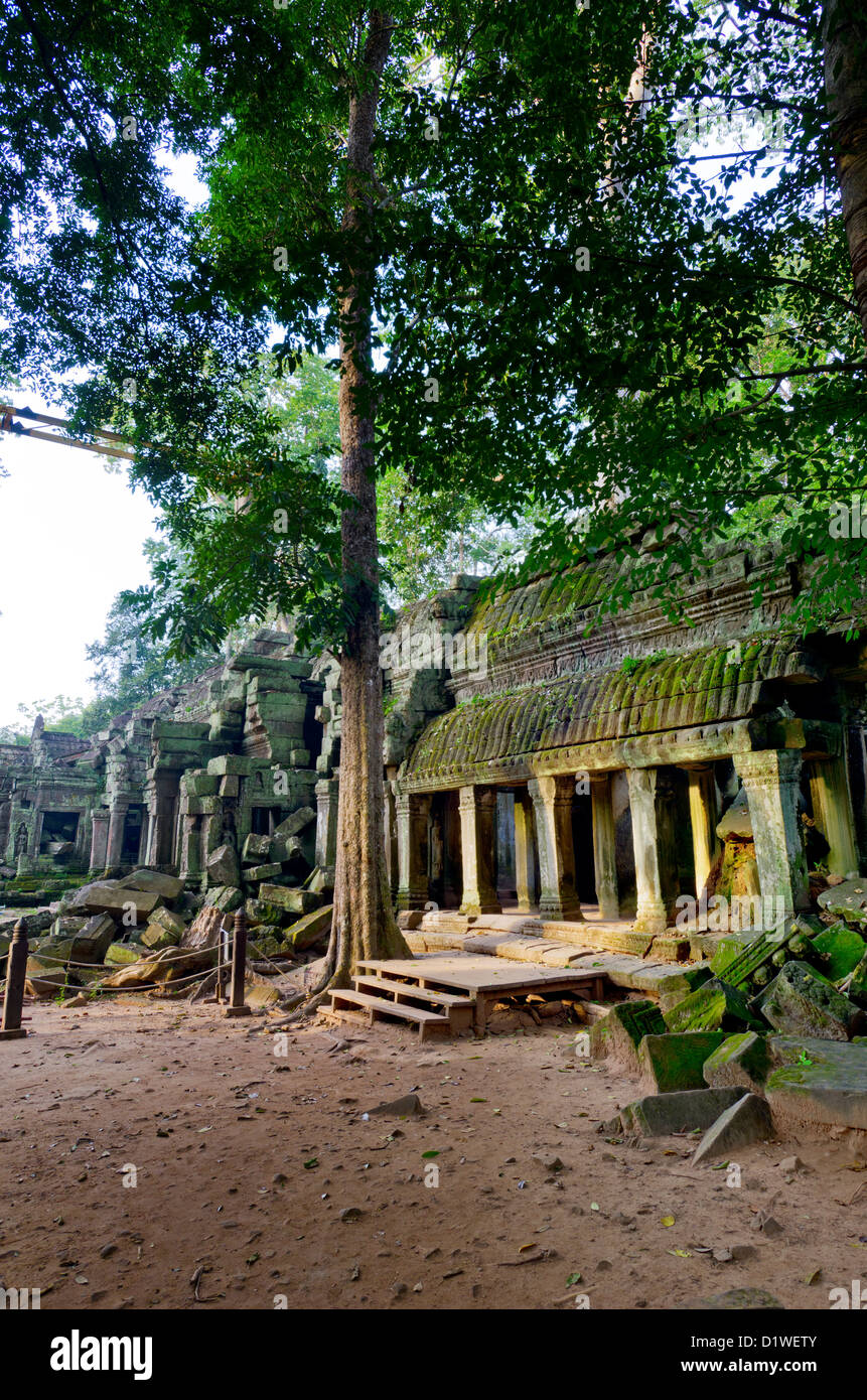 Sunrise from Srah Srang Temple over Moat, Ankor Wat, Cambodia Stock ...