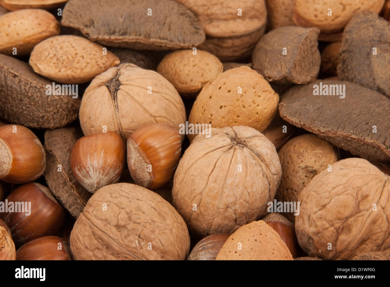 Nut kinds hi-res stock photography and images - Alamy