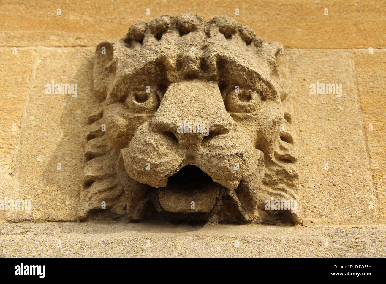Lions face carved in Sandstone Stock Photo - Alamy