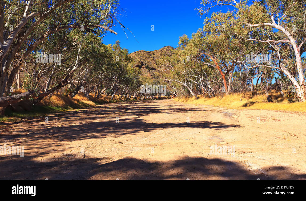 Dry sandy creek bed in the East MacDonnell Ranges, Central Australia ...
