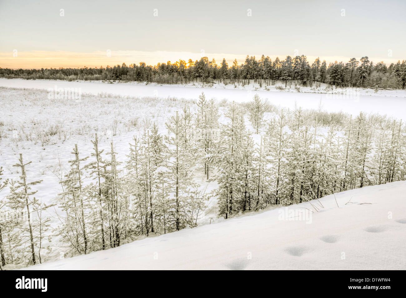 Frozen Lake in Inari, Finland Stock Photo - Alamy