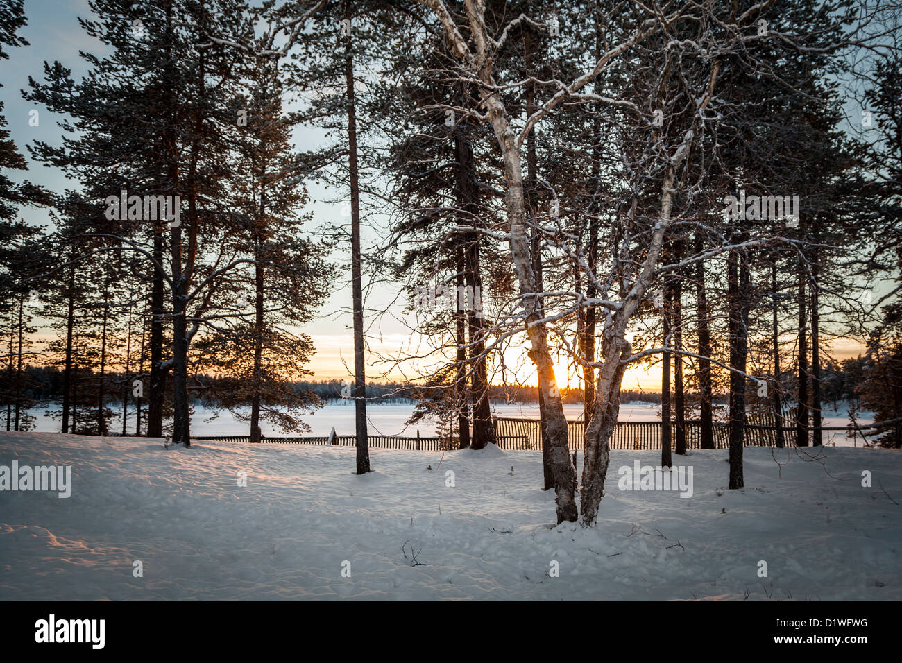 Frozen Lake in Inari, Finland Stock Photo - Alamy