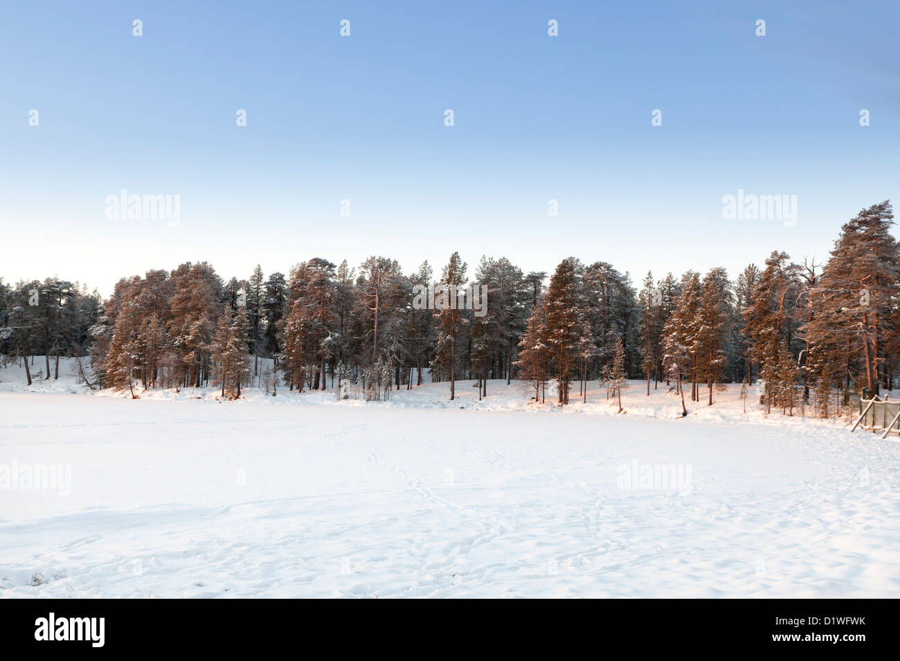 Frozen Lake in Inari, Finland Stock Photo - Alamy