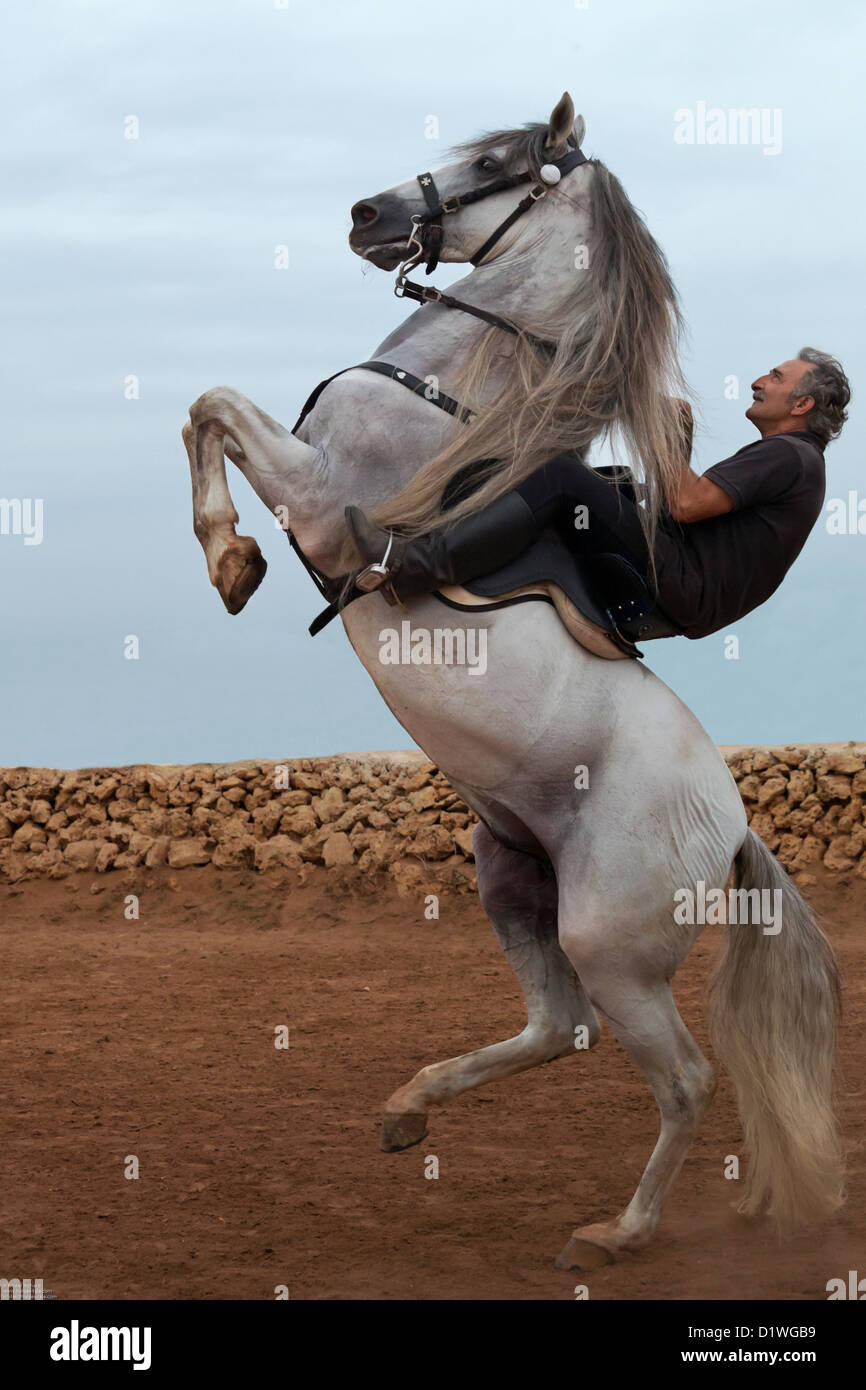 Menorca horse Spain tradition festival Europe Stock Photo - Alamy