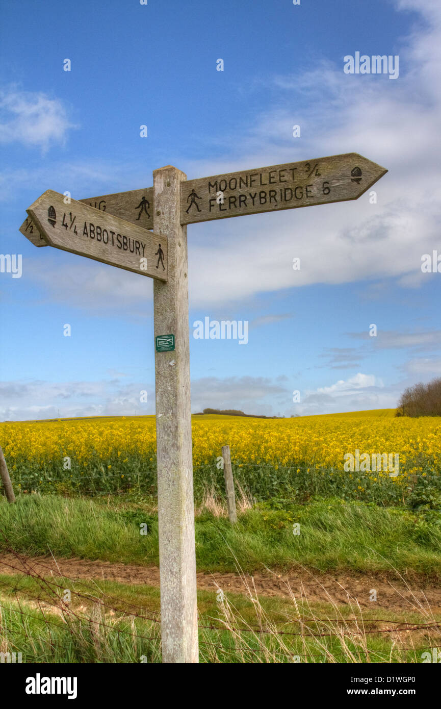 Wooden signpost in Dorset England UK Stock Photo - Alamy