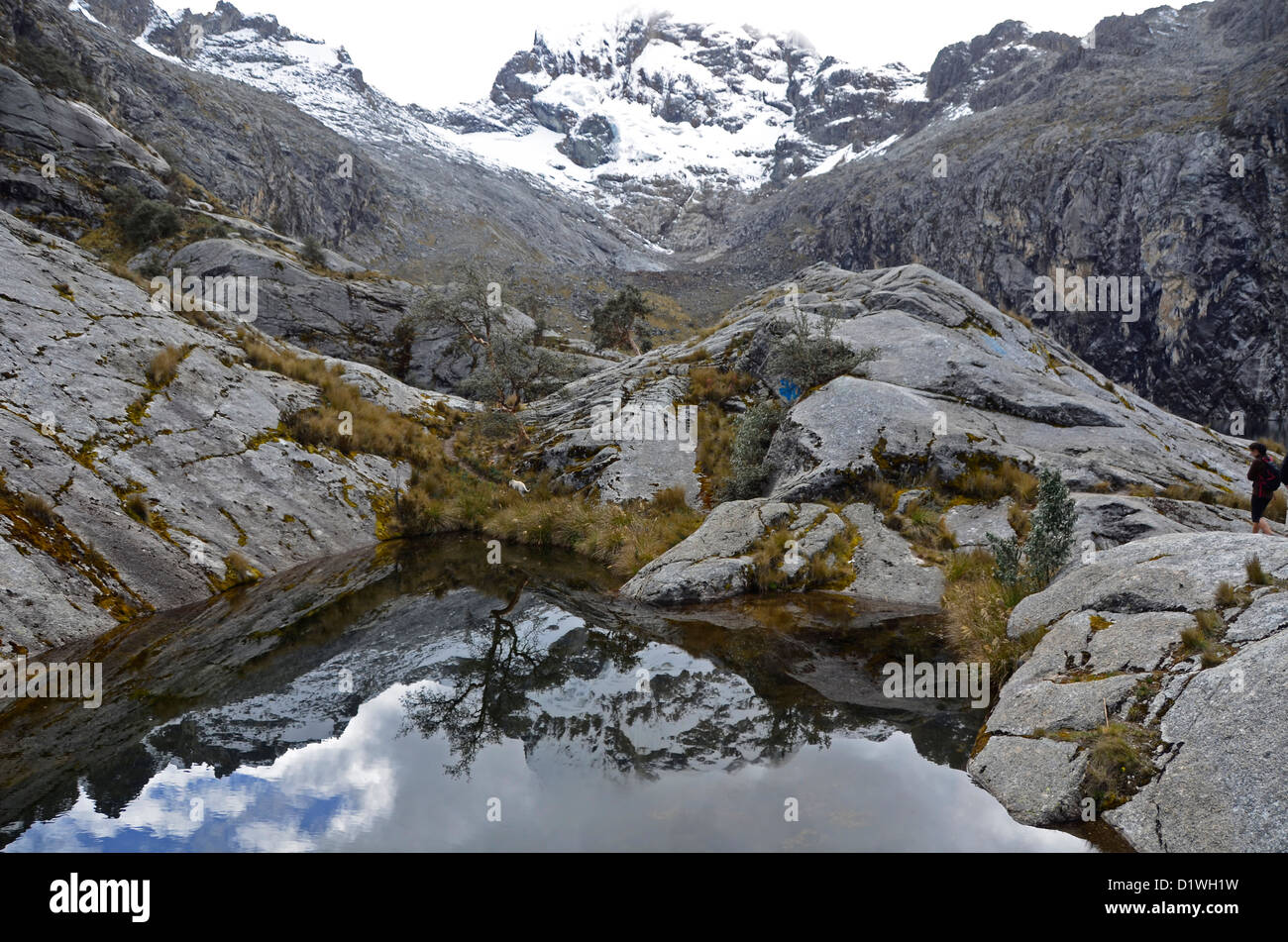 Alpine lake in the Cordiella Blanca, Laguna Churup. Andes, Peru Stock ...