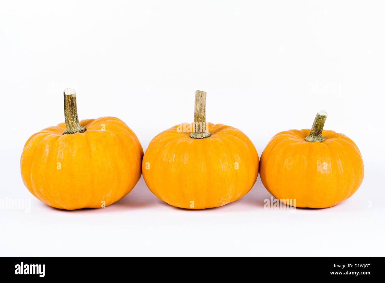 Five little pumpkins hi-res stock photography and images - Alamy
