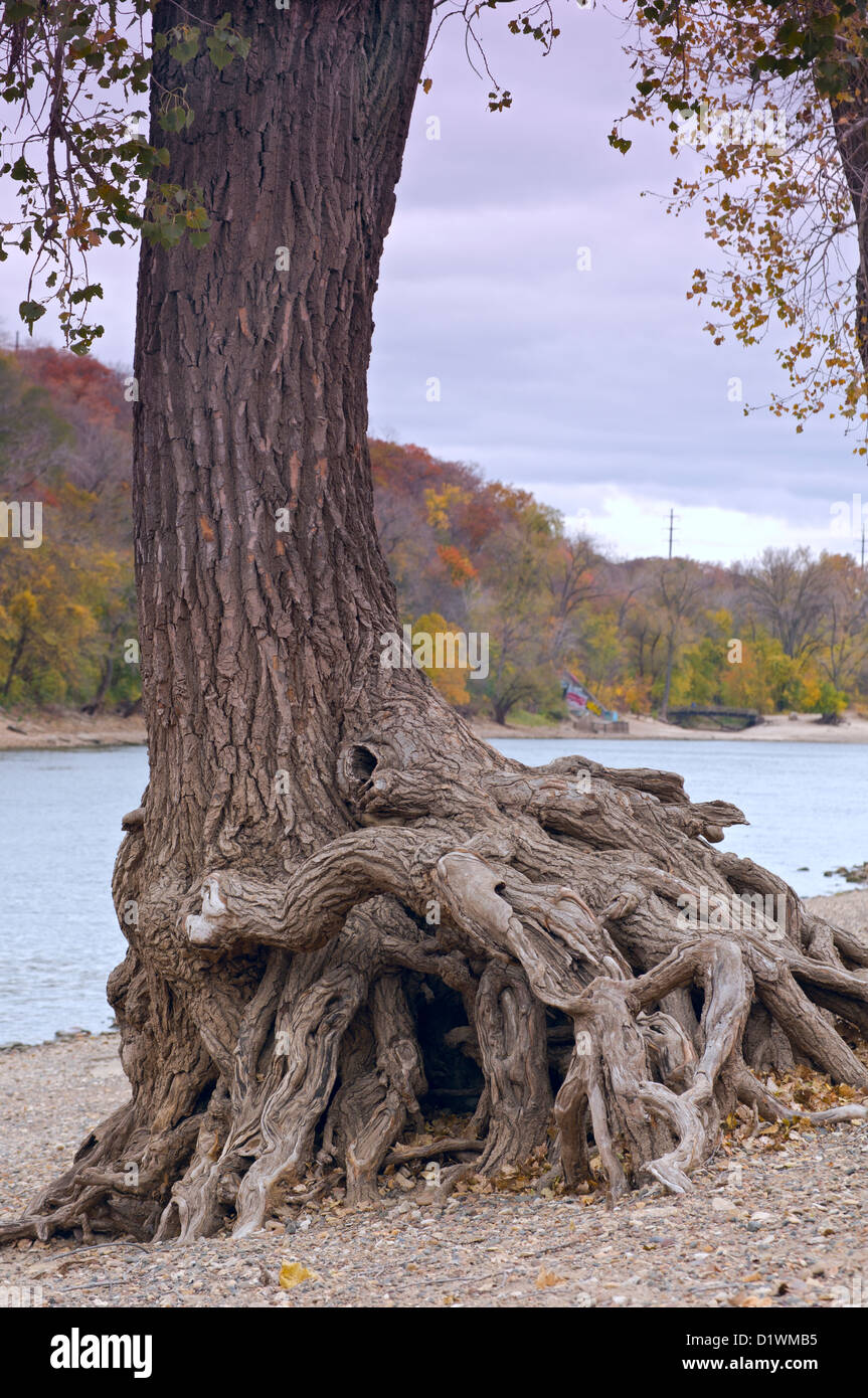 hidden falls regional park shoreline along mississippi river and ...