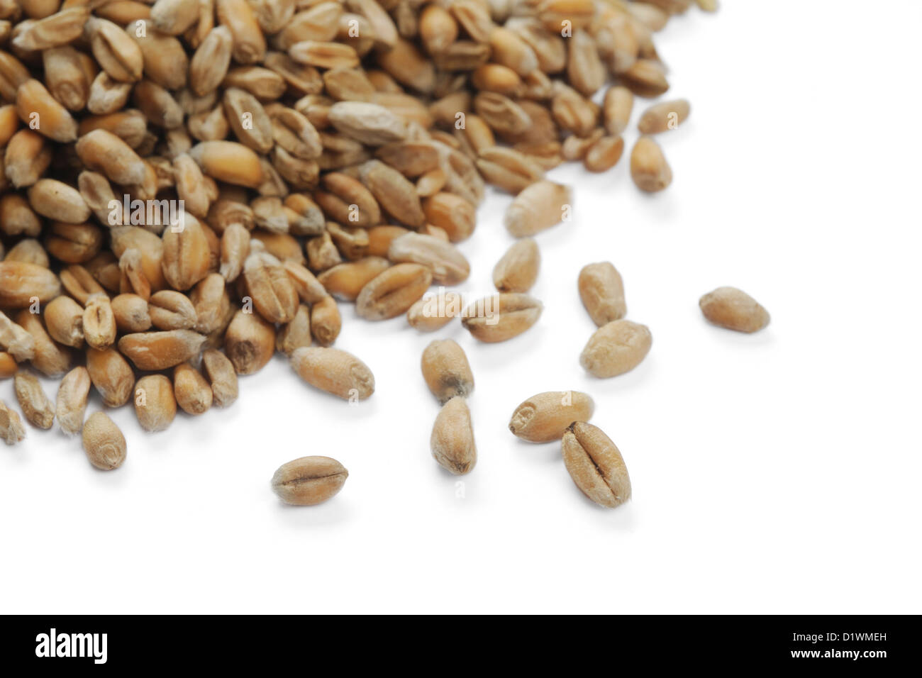 Close up grains wheat hi-res stock photography and images - Alamy