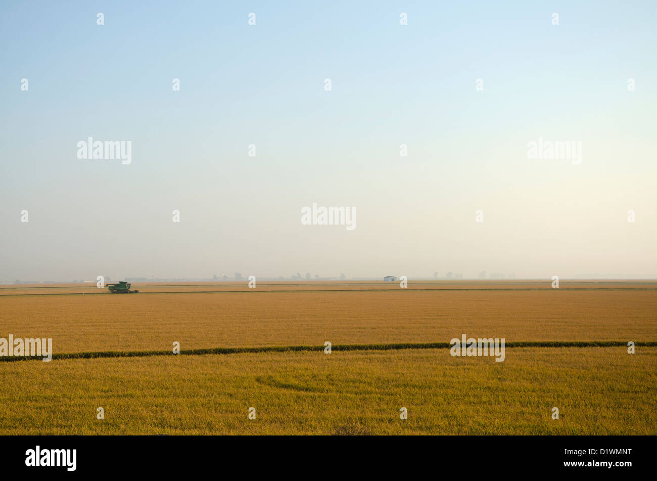 Rice fields in spain hi-res stock photography and images - Alamy