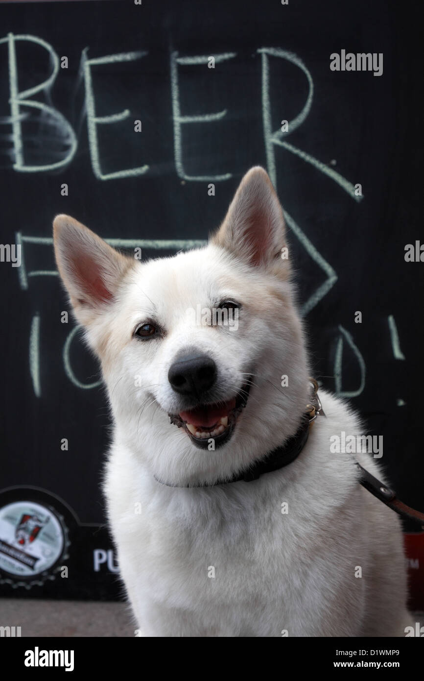Beer vertical hi-res stock photography and images - Alamy