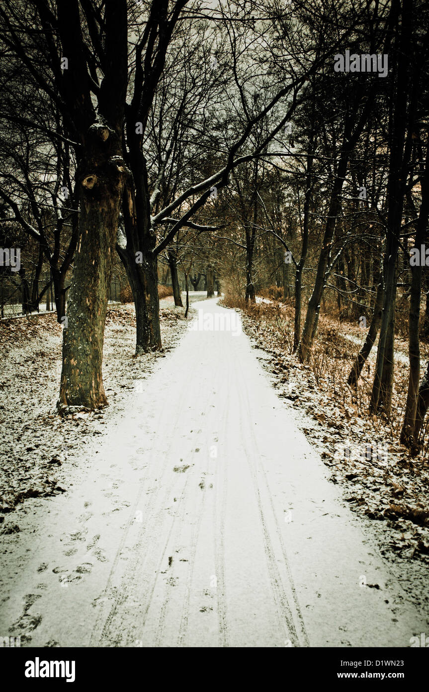 Covered path hi-res stock photography and images - Alamy