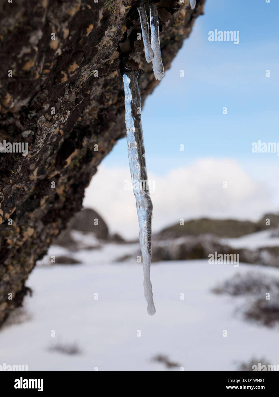 Serra da Estrela, Portugal - iced water drop Stock Photo - Alamy