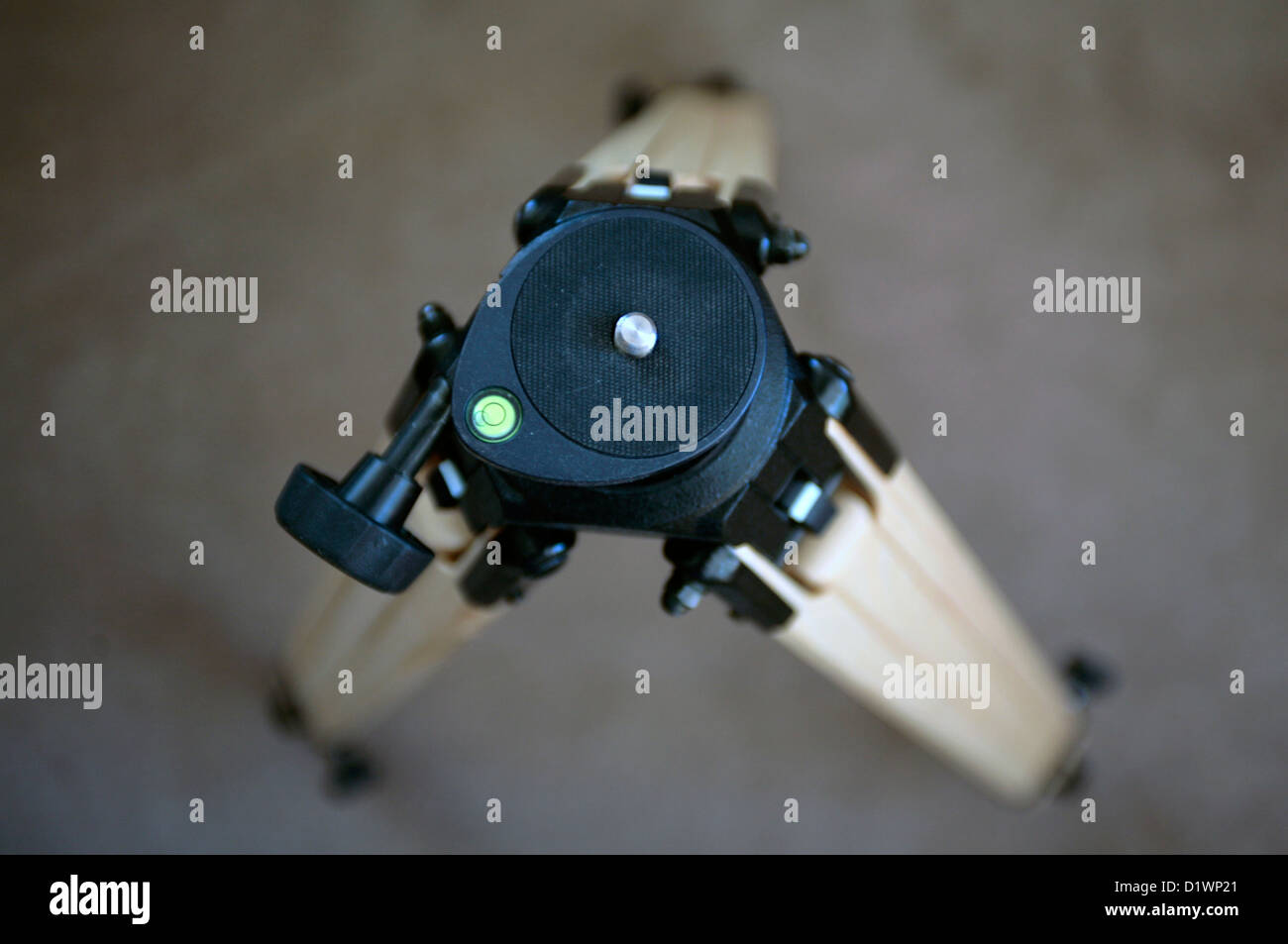 A Report 2032 pine tripod for Large Format cameras Stock Photo - Alamy