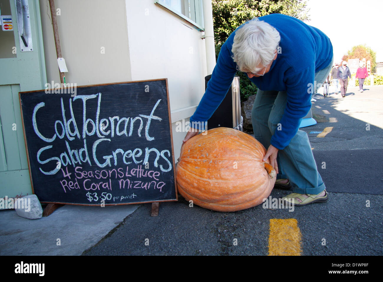 A customer tries to lift a giant pumpkin displayed in front of an ...