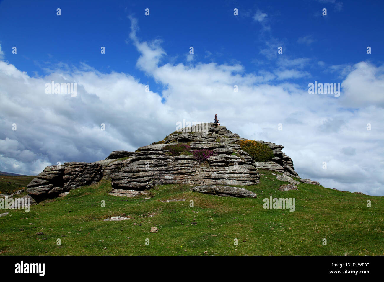 Sharp Tor rock formation on Dartmoor Devon Stock Photo - Alamy