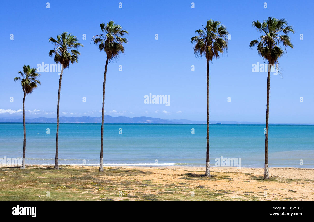 Tunisia, the beach near Carthage Stock Photo - Alamy