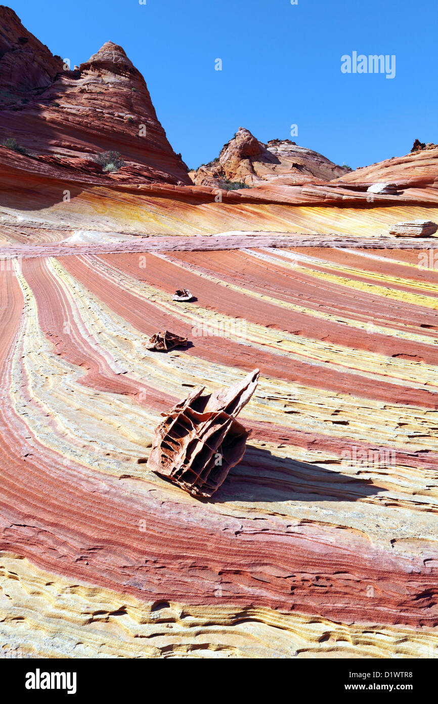 Skeletal stones, Boneyard, Skelettartige Steine, Coyote Butte North ...