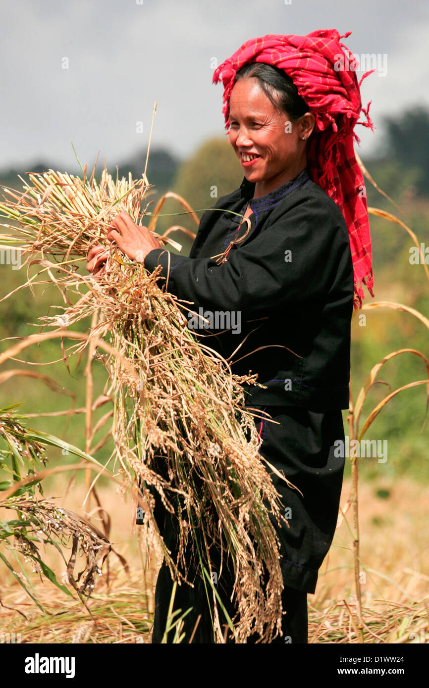 Portrait of a traditional Pa O tribeswoman near Pindaya, Shan State ...