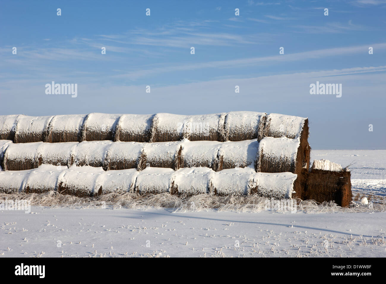 Covered hay bales hi-res stock photography and images - Alamy