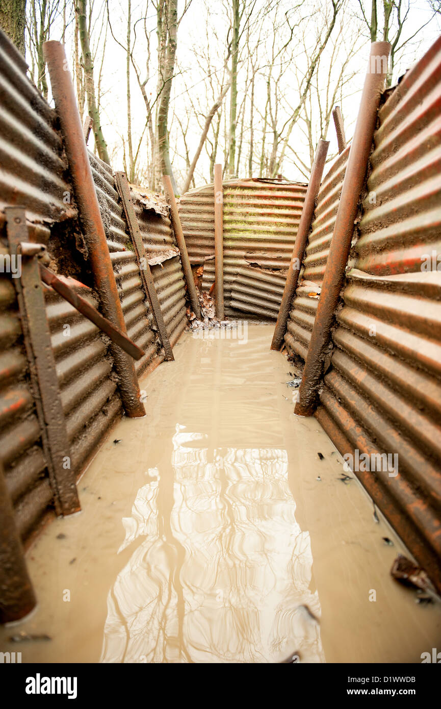 Part of the system of World War One trenches at Sanctuary Wood near ...