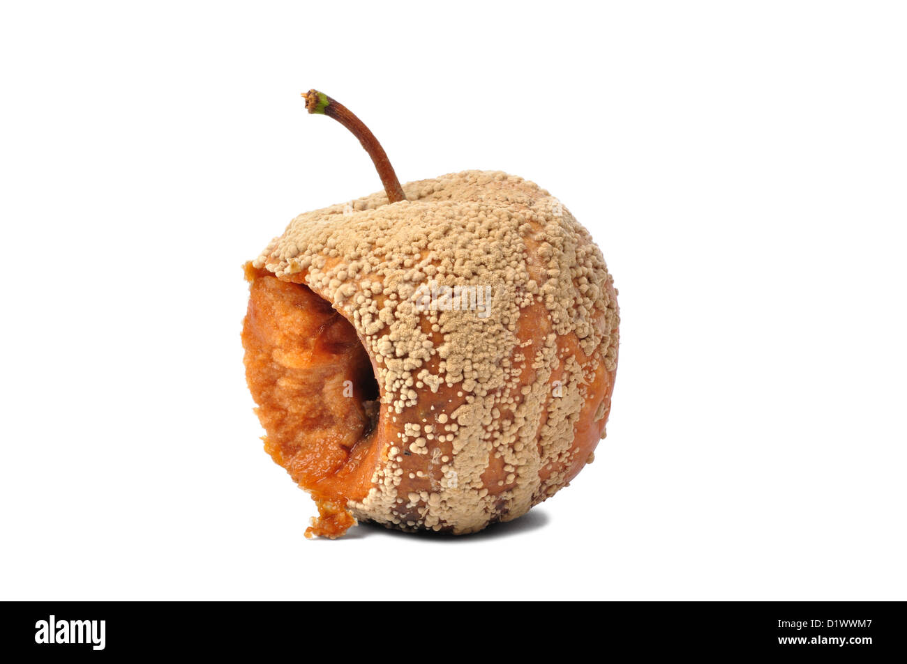 Crap apple hi-res stock photography and images - Alamy