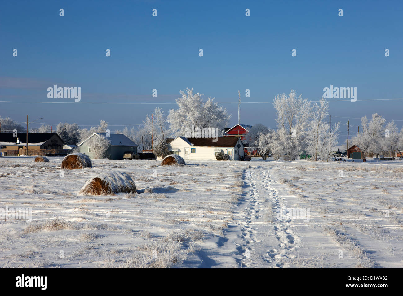 fresh footprints crossing deep snow in field towards small rural ...