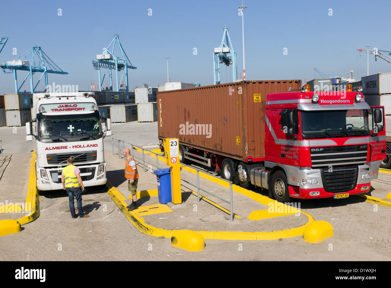 Container loaded on a trailer. Container terminal in the Rotterdam sea ...
