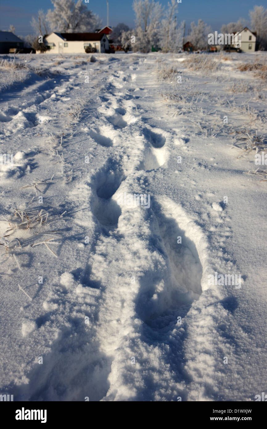 Small footprints hi-res stock photography and images - Alamy