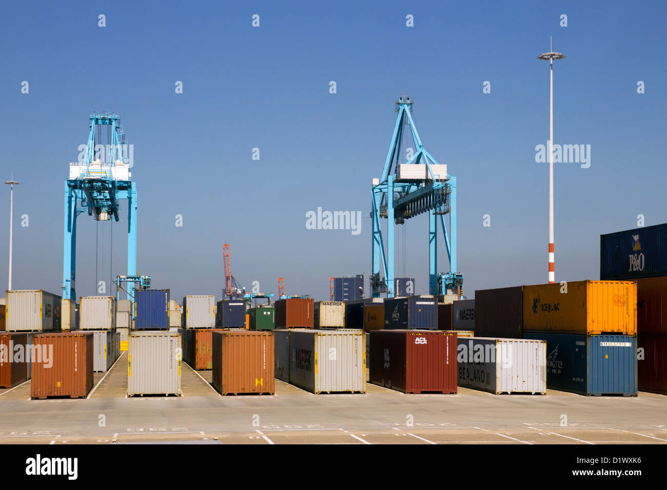 Container terminal in the Rotterdam sea port. The Netherlands Stock ...