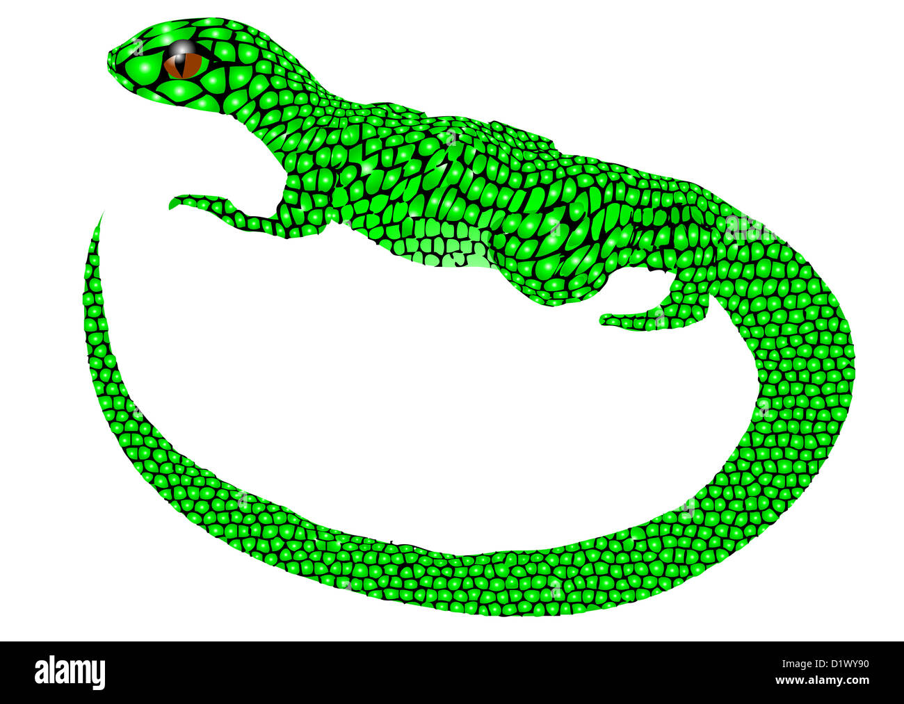 abstract lizard isolated on a white background Stock Photo - Alamy