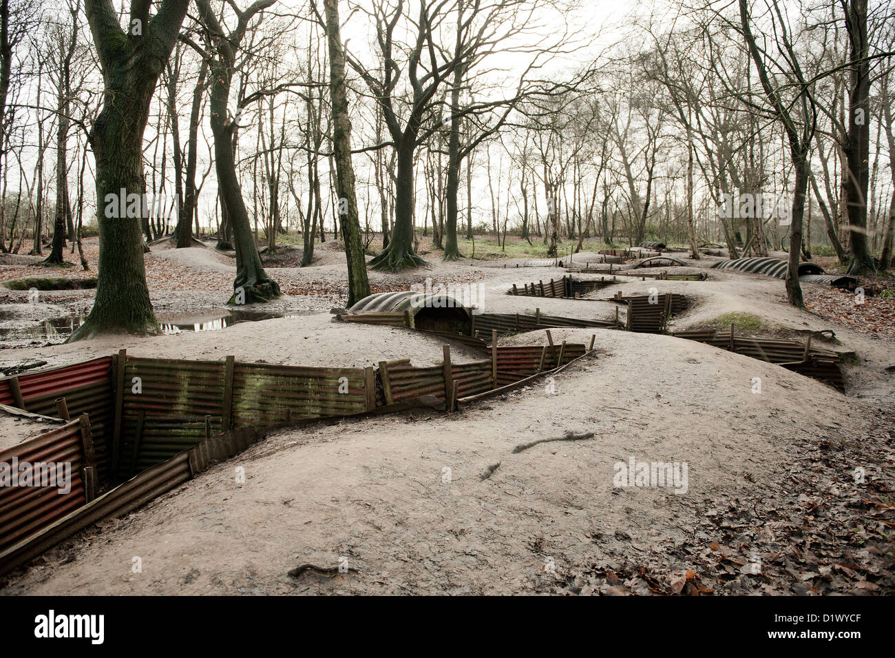 Part of the system of World War One trenches at Sanctuary Wood near ...